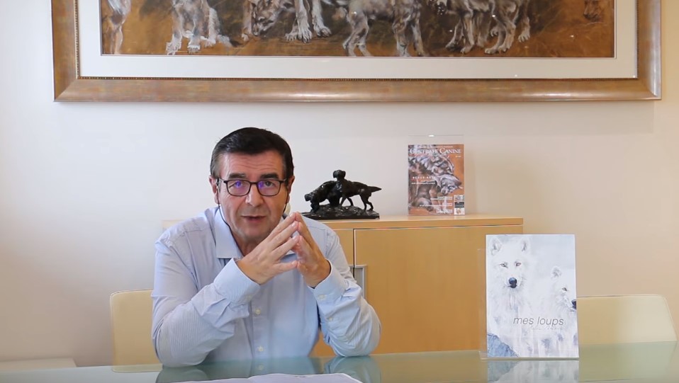 Les évolutions du LOF : Interview d'André VARLET | Société Centrale Canine