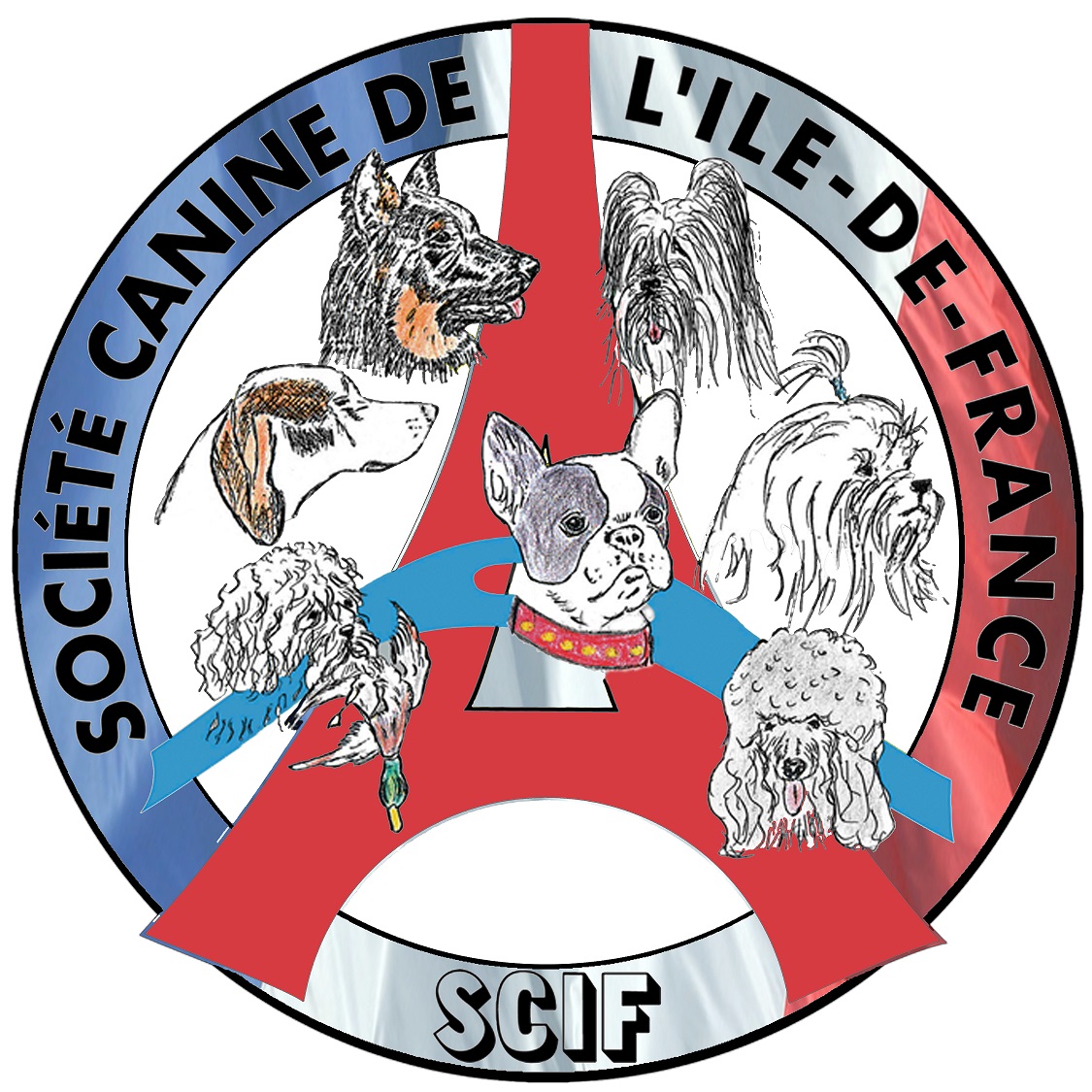 EXPOSITIONS SCIF 2022 | Société Centrale Canine
