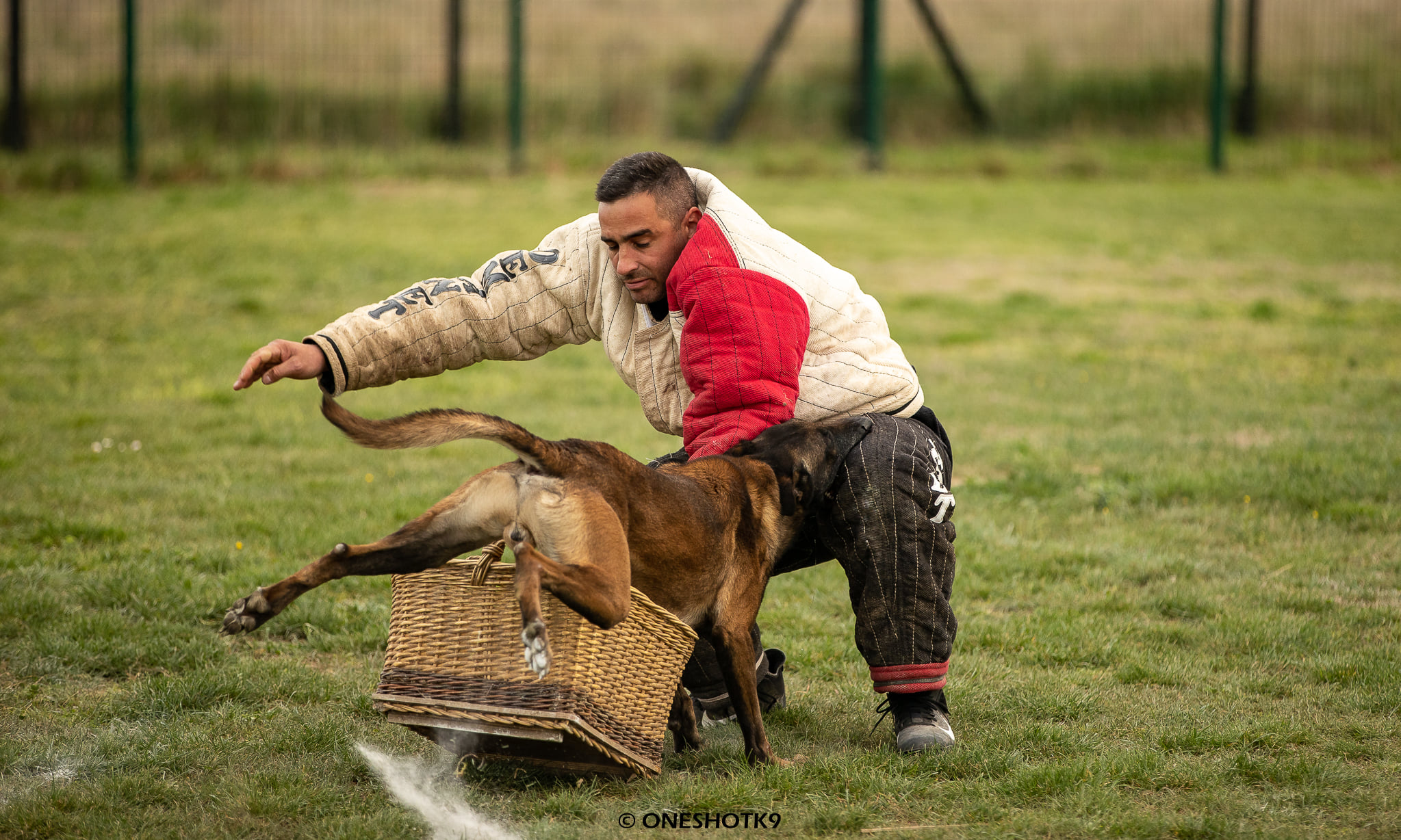 Le Livret de l'Homme Assistant | Société Centrale Canine