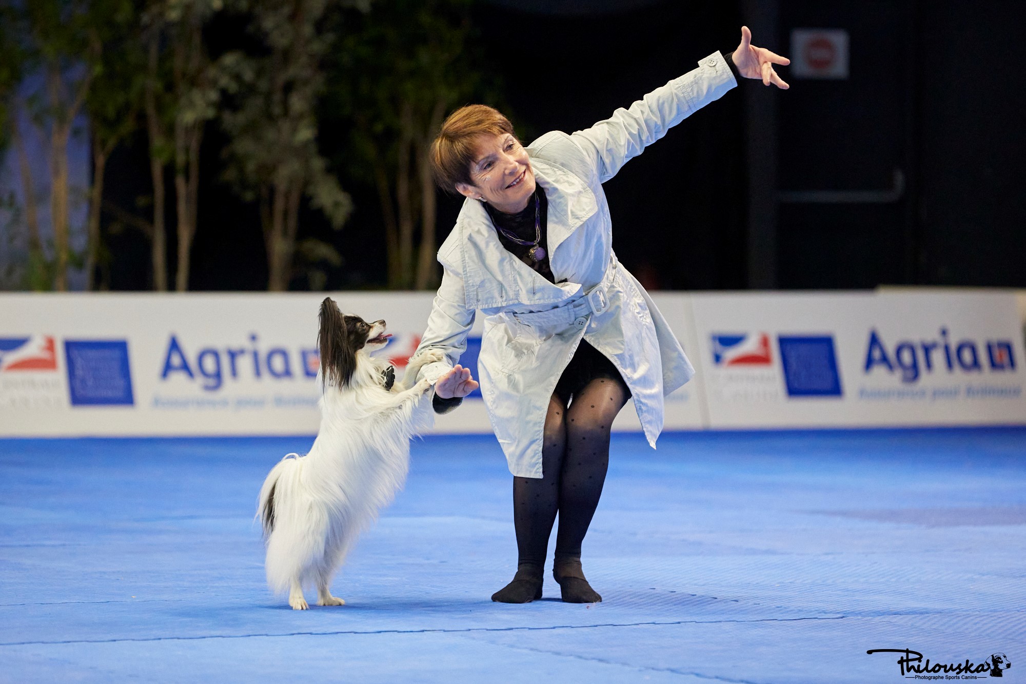 Le Dog Dancing | Société Centrale Canine