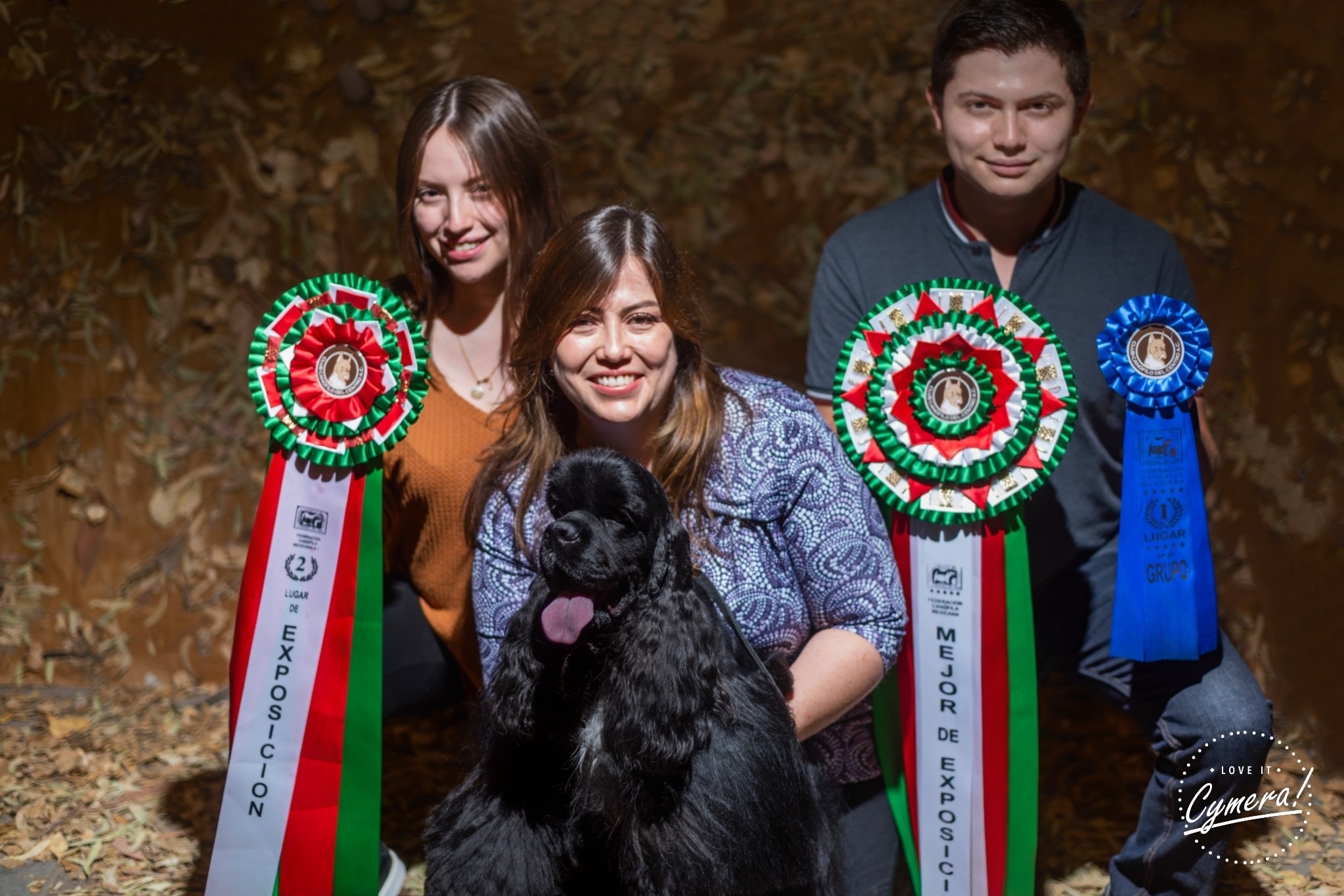 BIS Ch. Hall of Lords Ready To Do It, "Rémy" et famille en Mexico ...