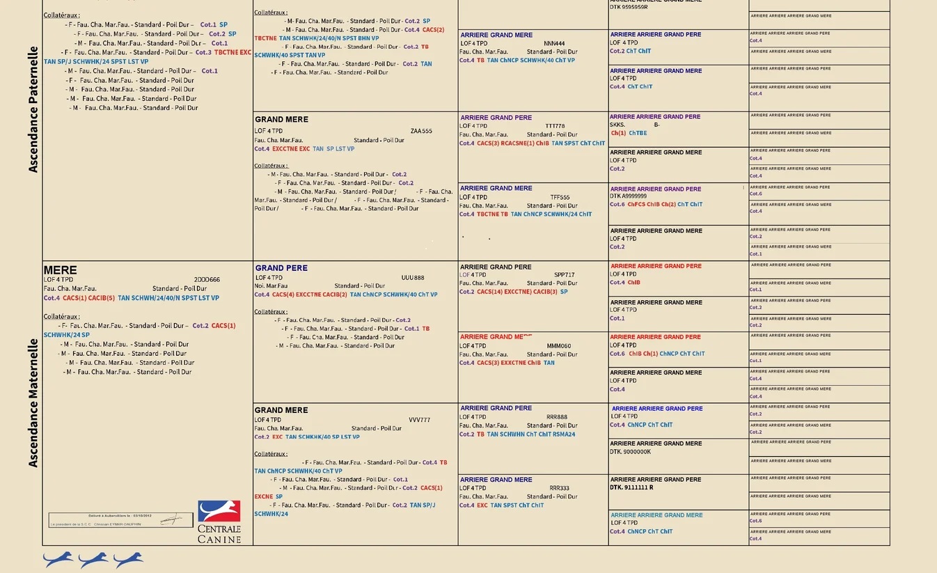 Documents de cession d'un chiot | Société Centrale Canine