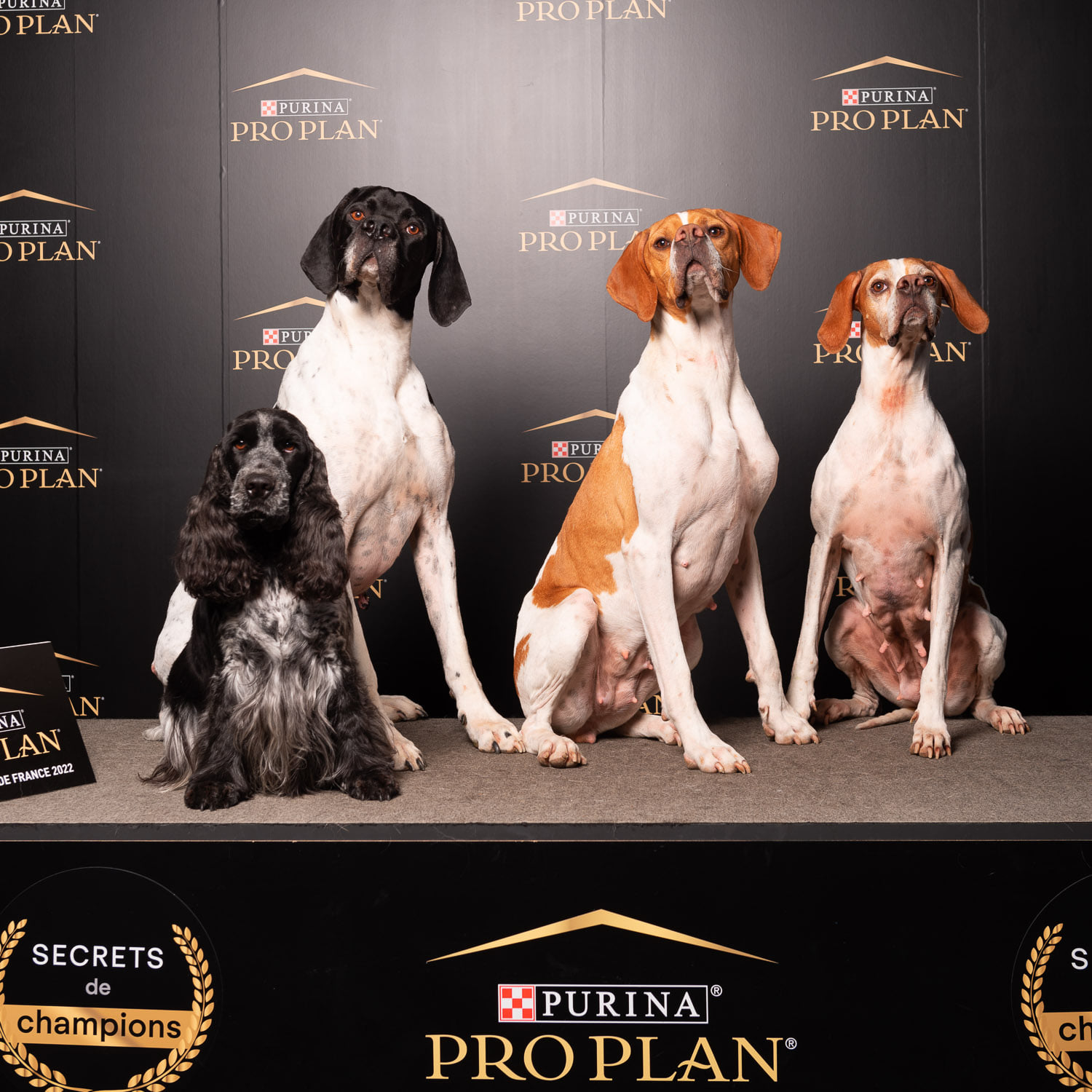 CONSULTER LA REVUE | Société Centrale Canine