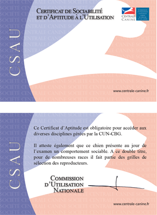 Le CSAU pour 2024 | Société Centrale Canine