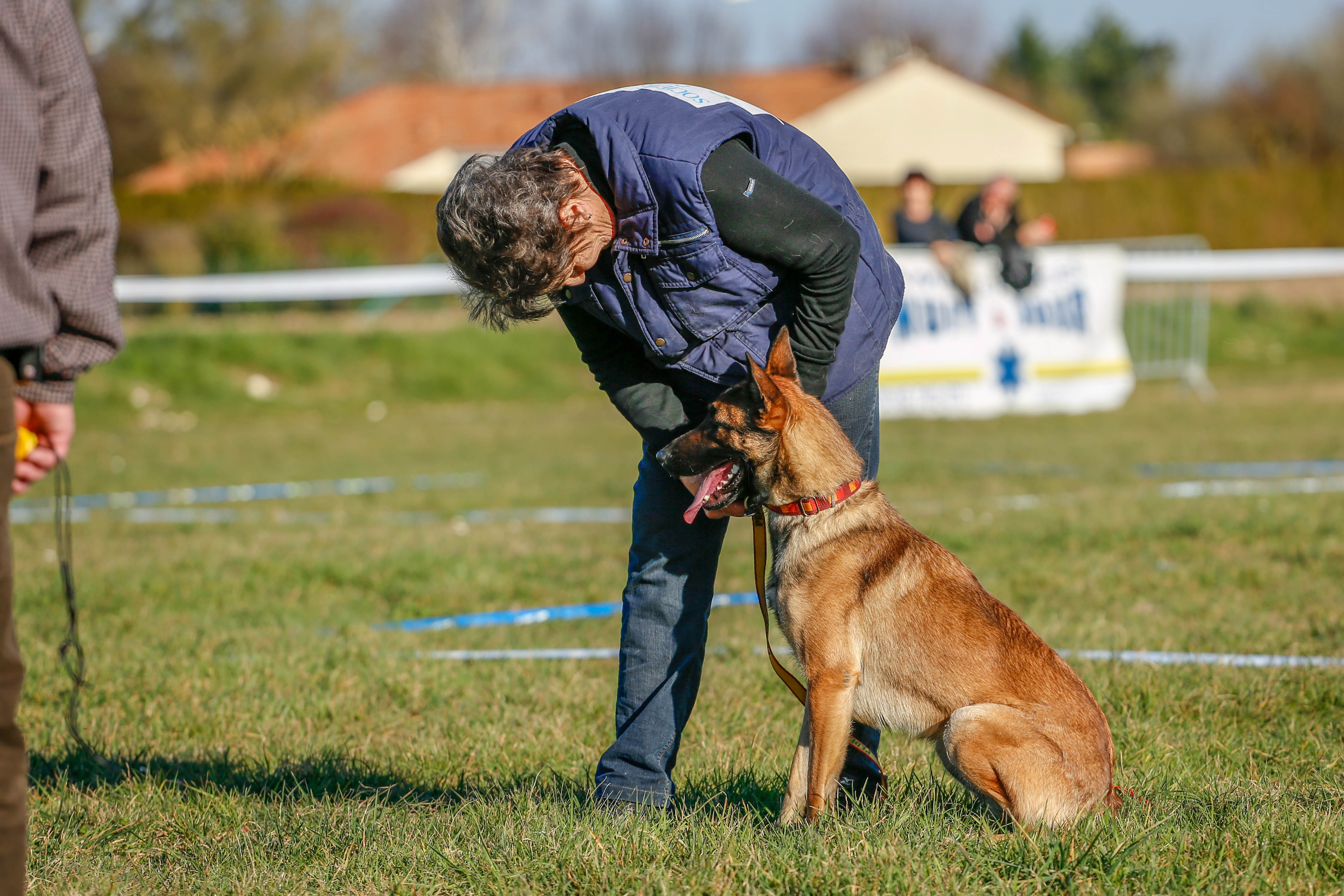 Les Champions de France de CAVAGE sur carrés | Société Centrale Canine