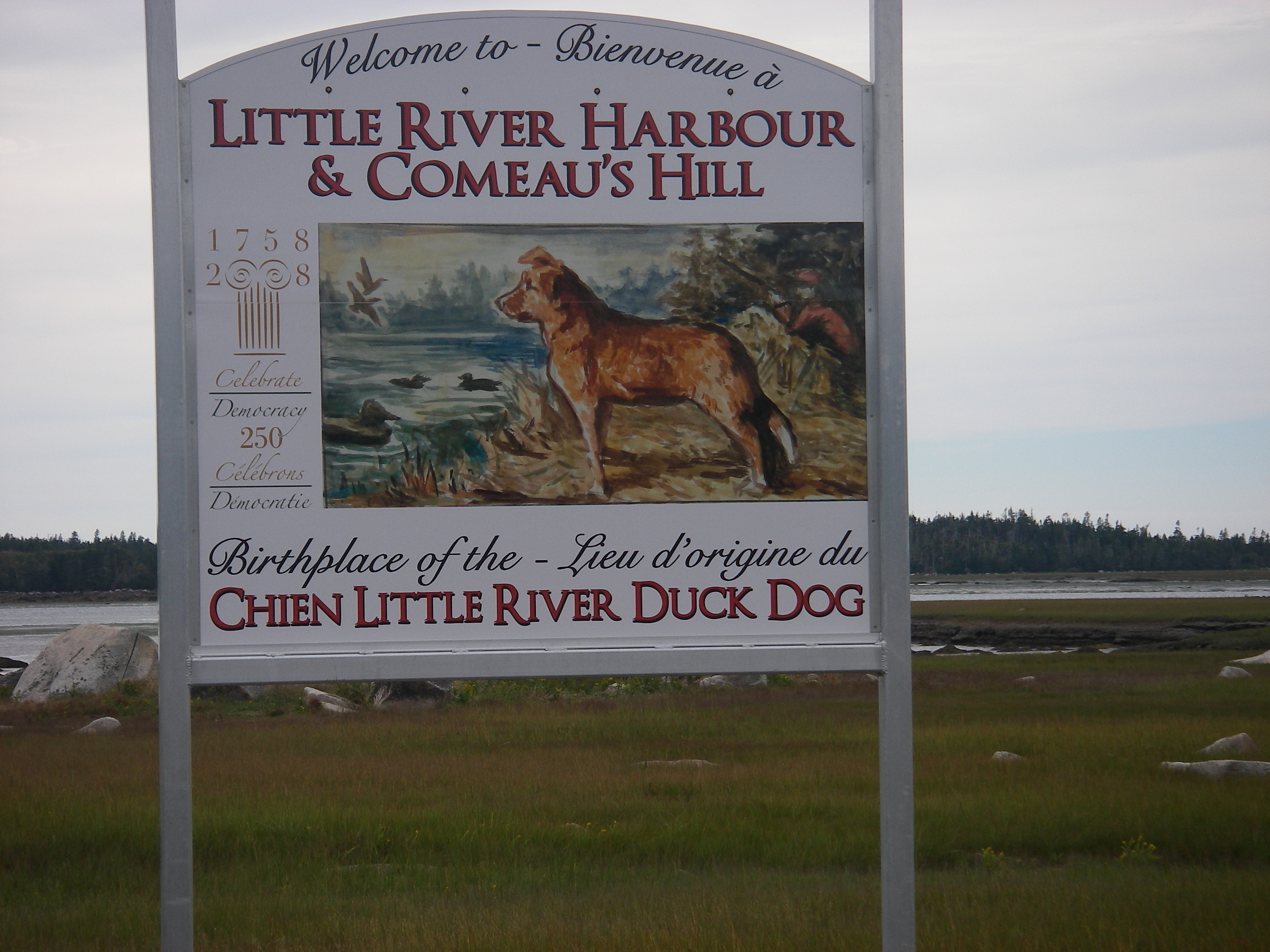 Le standard de la race | Société Centrale Canine