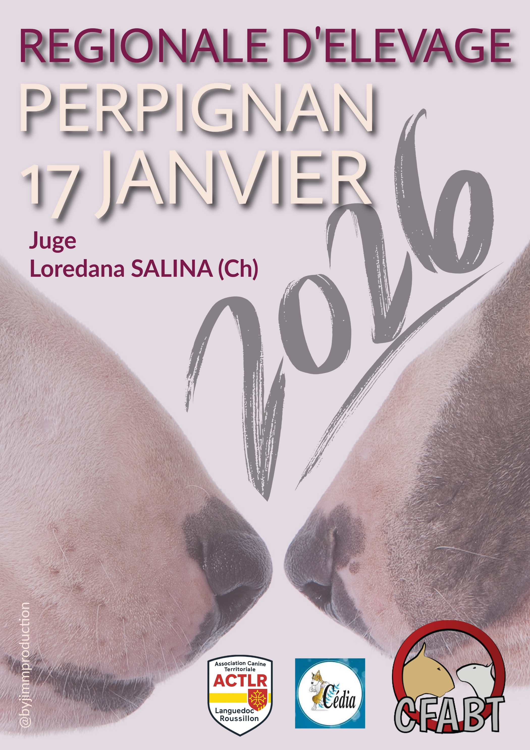 RE Perpignan 2026, la première de l'année | Société Centrale Canine